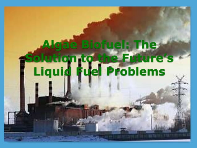 Algae to Biofuel | PPTX