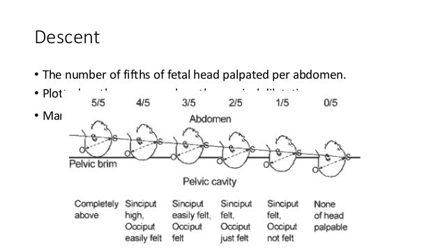 Normal Labour and Partography