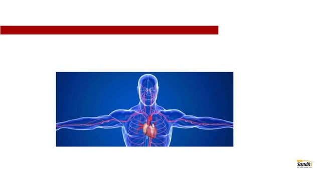 5 Benefits of Kizhi Massage Ayurvedic Treatment | PPTX