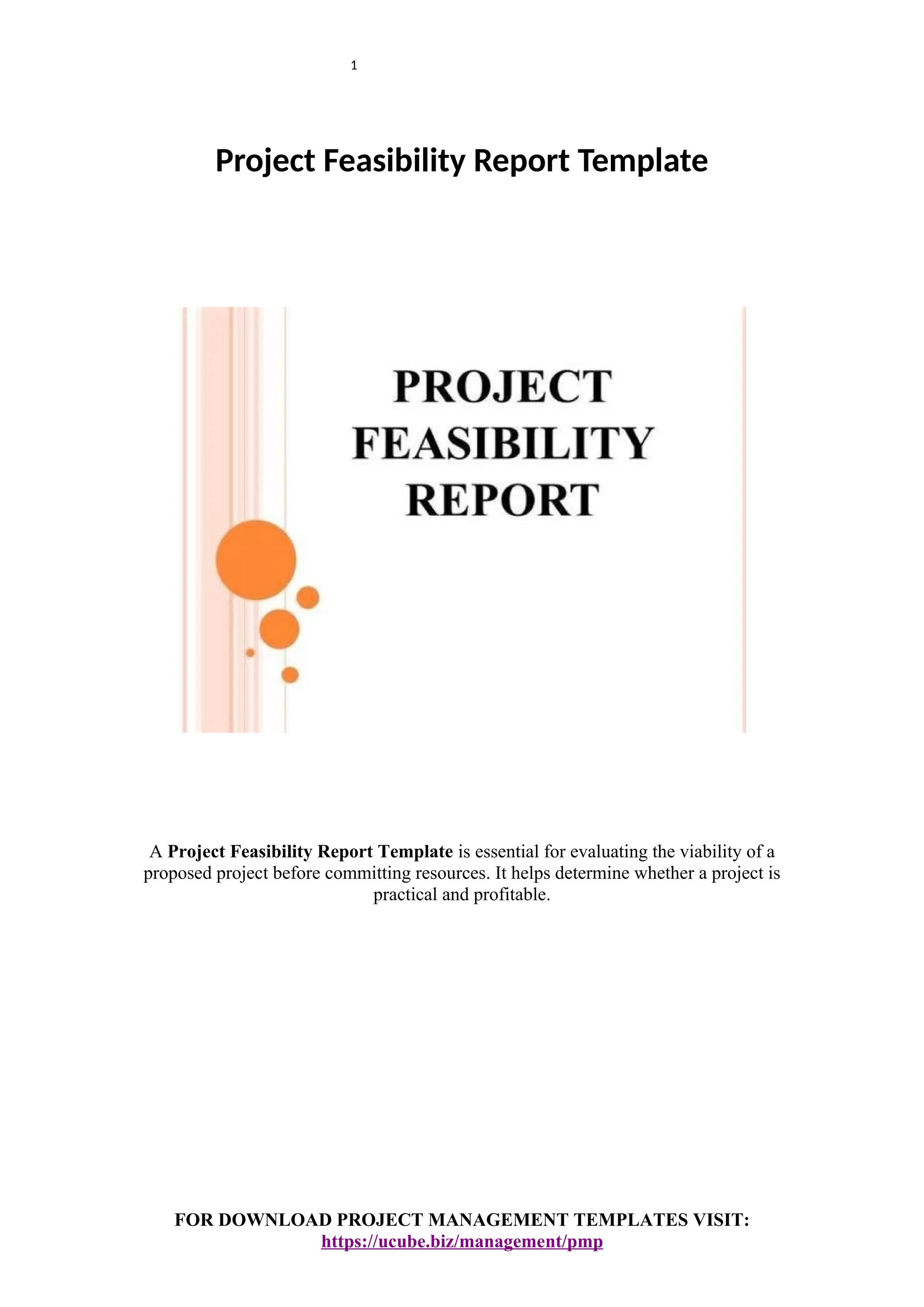 5 Benefits of Using Project Feasibility Report Template.docx