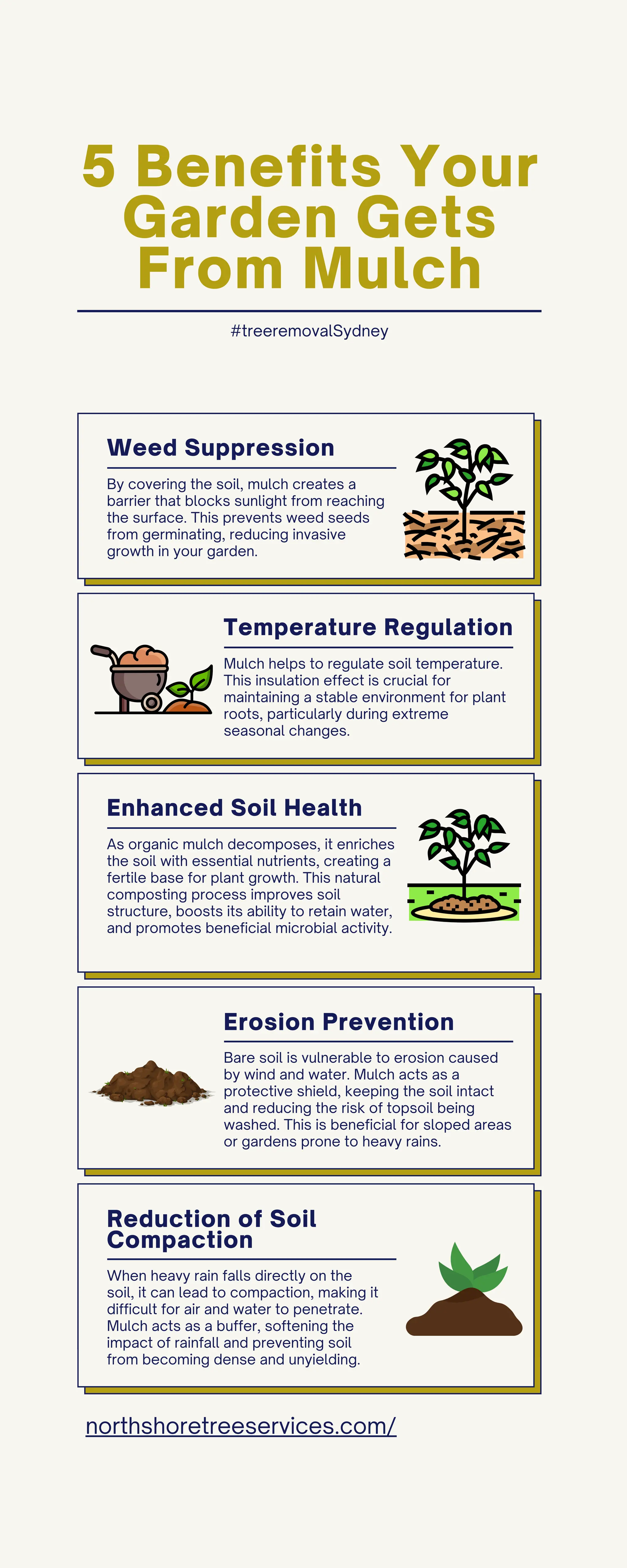 5 Benefits Your Garden Gets From Mulch.pdf