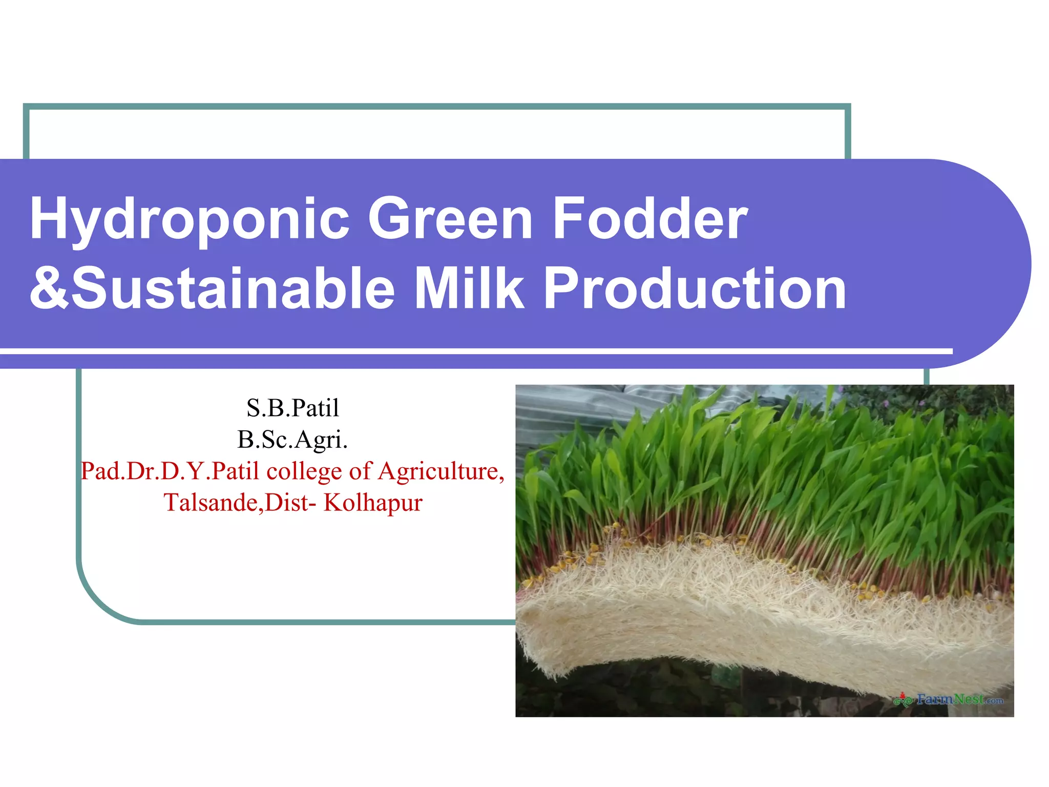 PPT-Hydroponic Green Fodder 1 - Copy | PPT