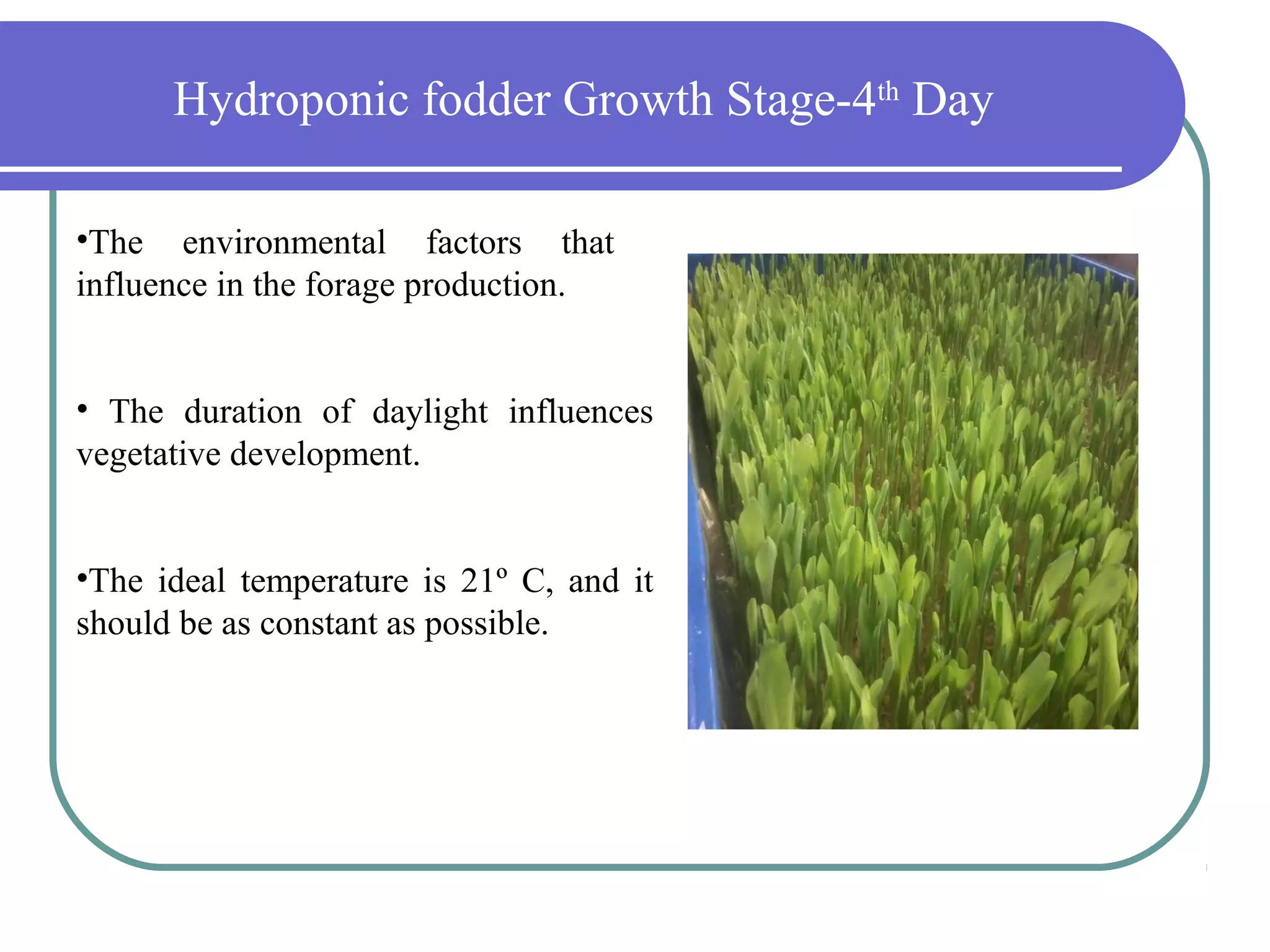 PPT-Hydroponic Green Fodder 1 - Copy | PPT