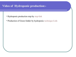 PPT-Hydroponic Green Fodder 1 - Copy | PPT