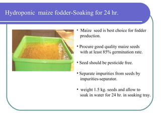 PPT-Hydroponic Green Fodder 1 - Copy | PPT