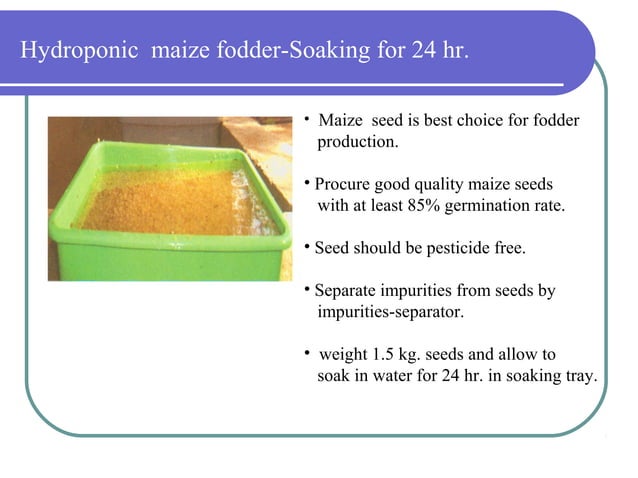 PPT-Hydroponic Green Fodder 1 - Copy | PPT