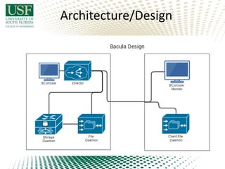 Senior-Project-Presentation-Template (1) | PPTX