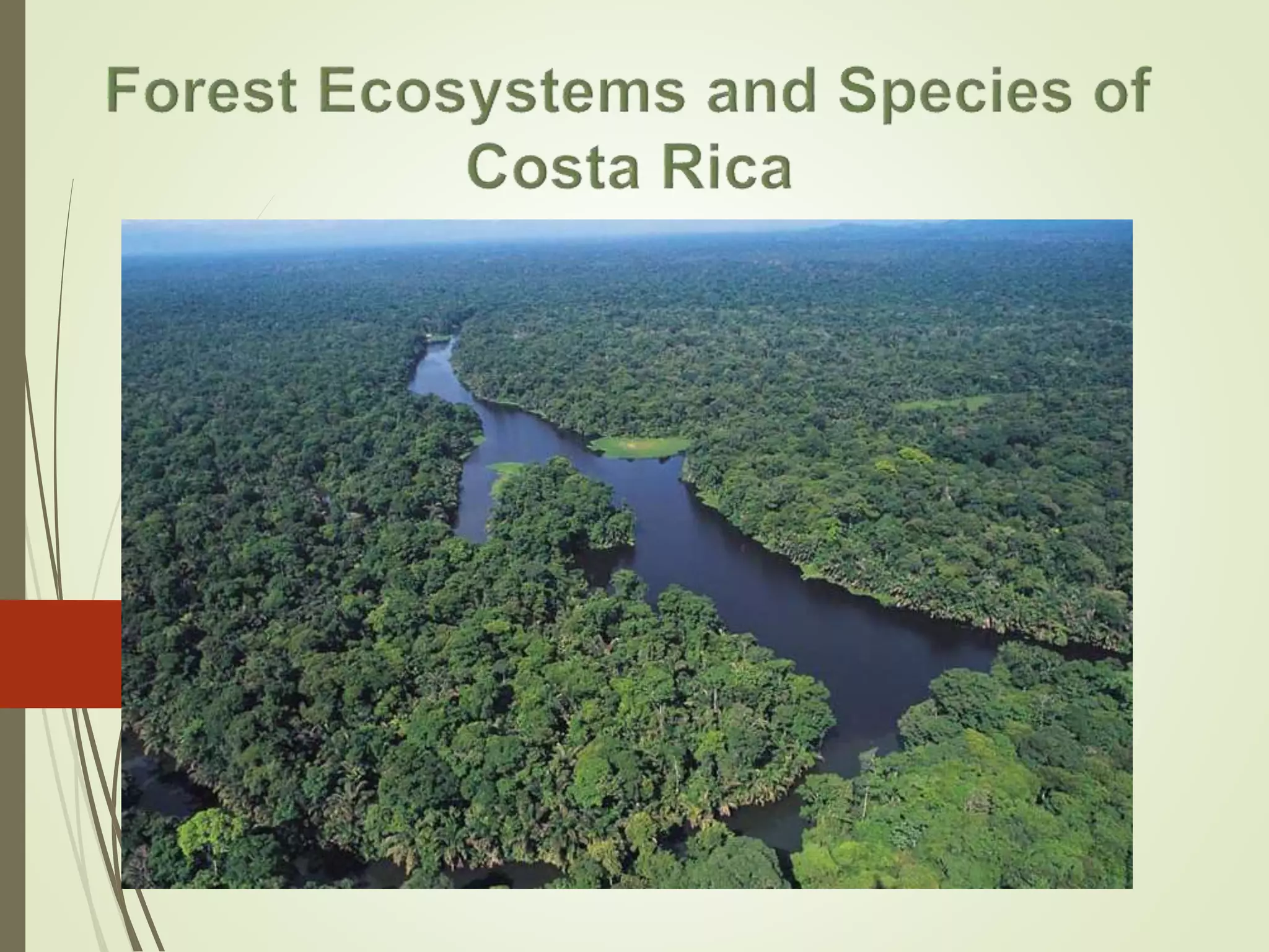 Forest Ecology of Costa Rica Ecosystems | PPTX