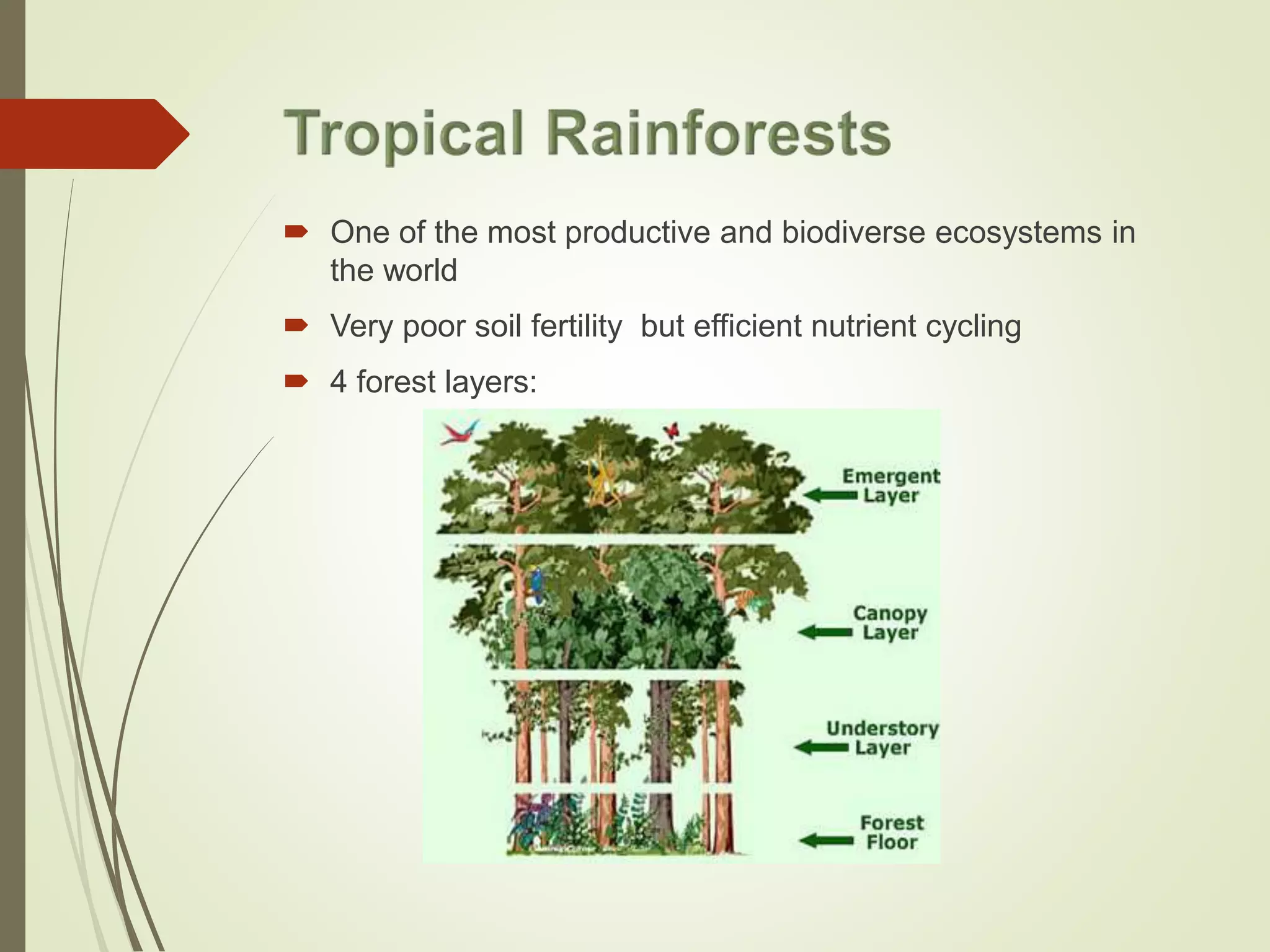 Forest Ecology of Costa Rica Ecosystems | PPTX