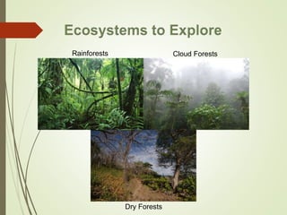 Forest Ecology of Costa Rica Ecosystems | PPTX