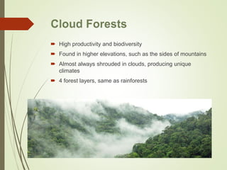 Forest Ecology of Costa Rica Ecosystems | PPTX
