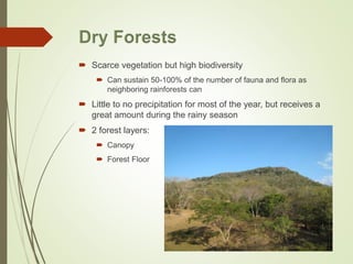 Forest Ecology of Costa Rica Ecosystems | PPTX