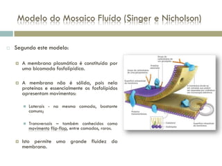 (5) biologia e geologia 10º ano - obtenção de matéria | PDF