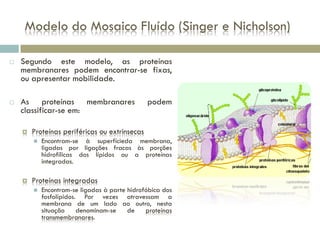 (5) biologia e geologia 10º ano - obtenção de matéria | PDF