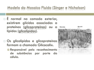 (5) biologia e geologia 10º ano - obtenção de matéria | PDF
