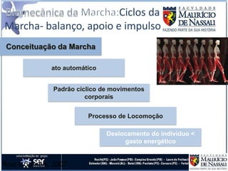 Ciclos da marcha | PDF