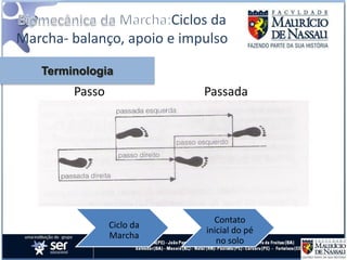 Ciclos da marcha | PDF