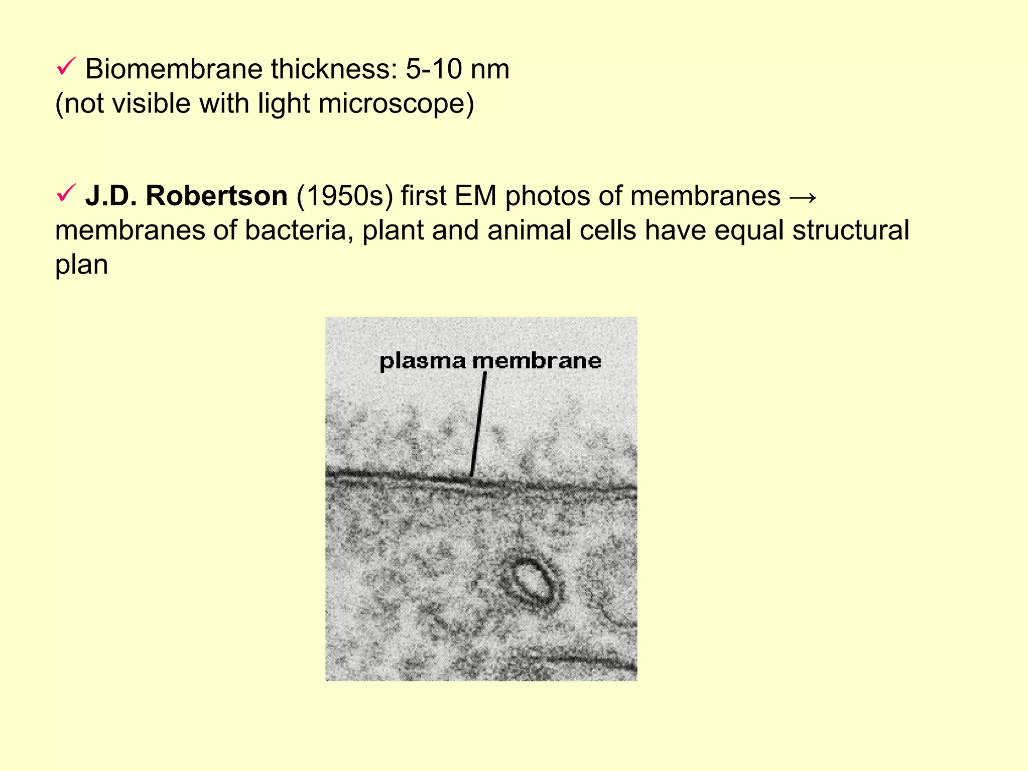 5_Biomembranes.pdf