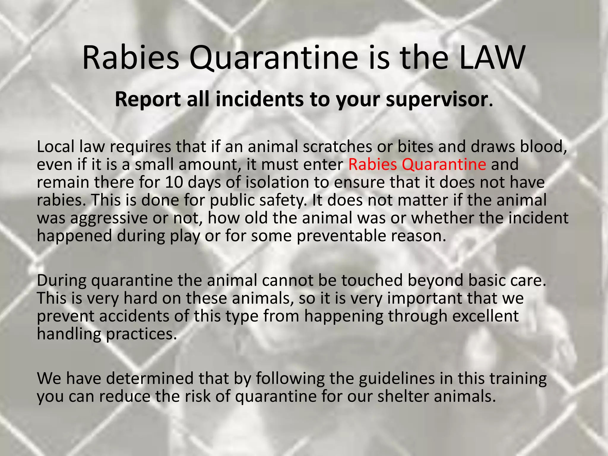 Safe Animal Handling Part 1 | PPT