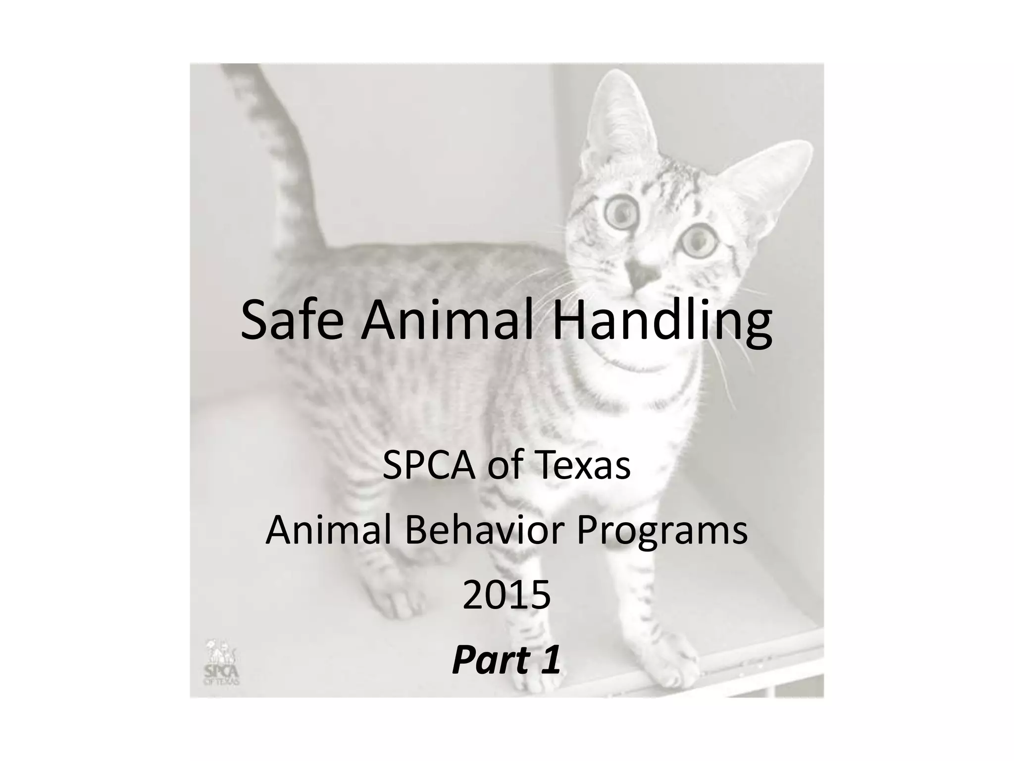 Safe Animal Handling Part 1 | PPT