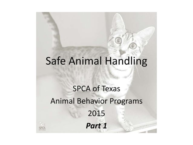 Safe Animal Handling Part 1 | PPT