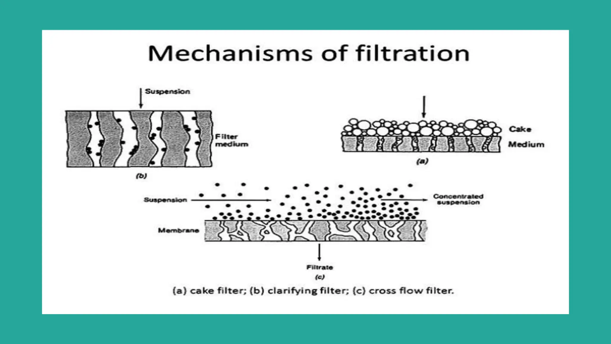 FILTRATION AND TYPES OF FILTRATION . pptx | PPTX