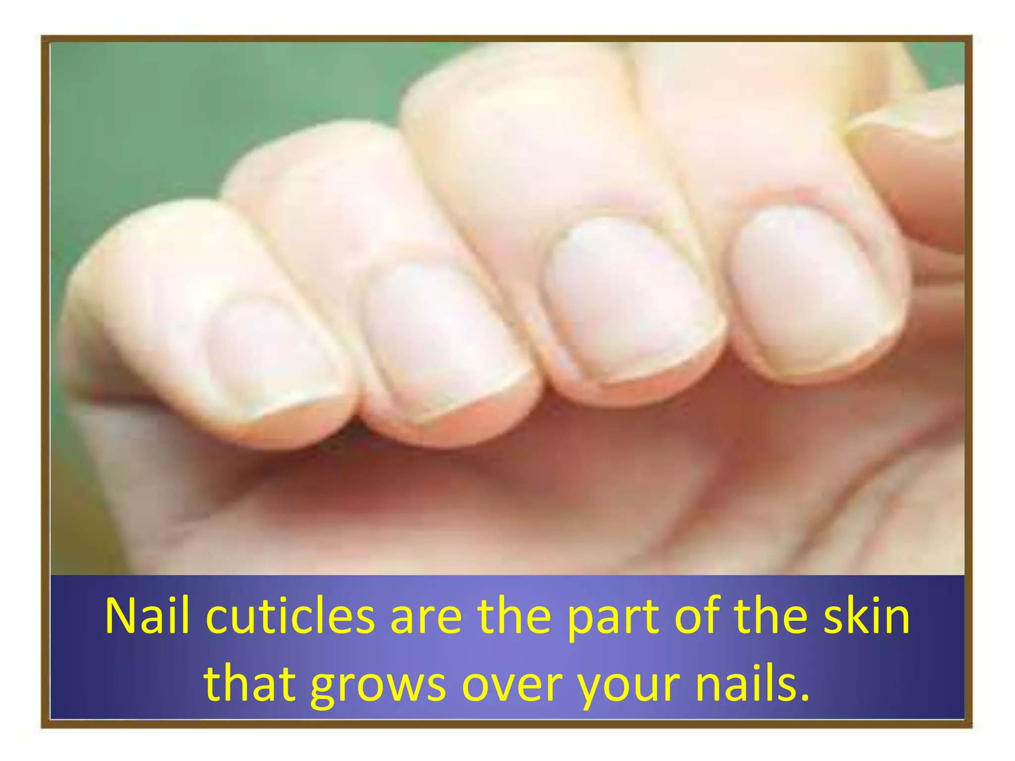 5 Body Parts That You Are Not Cleaning Properly | PPT