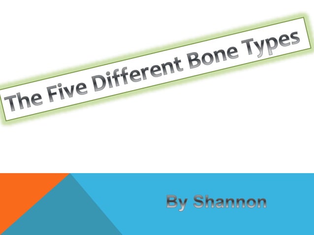 5 bone types | PPT