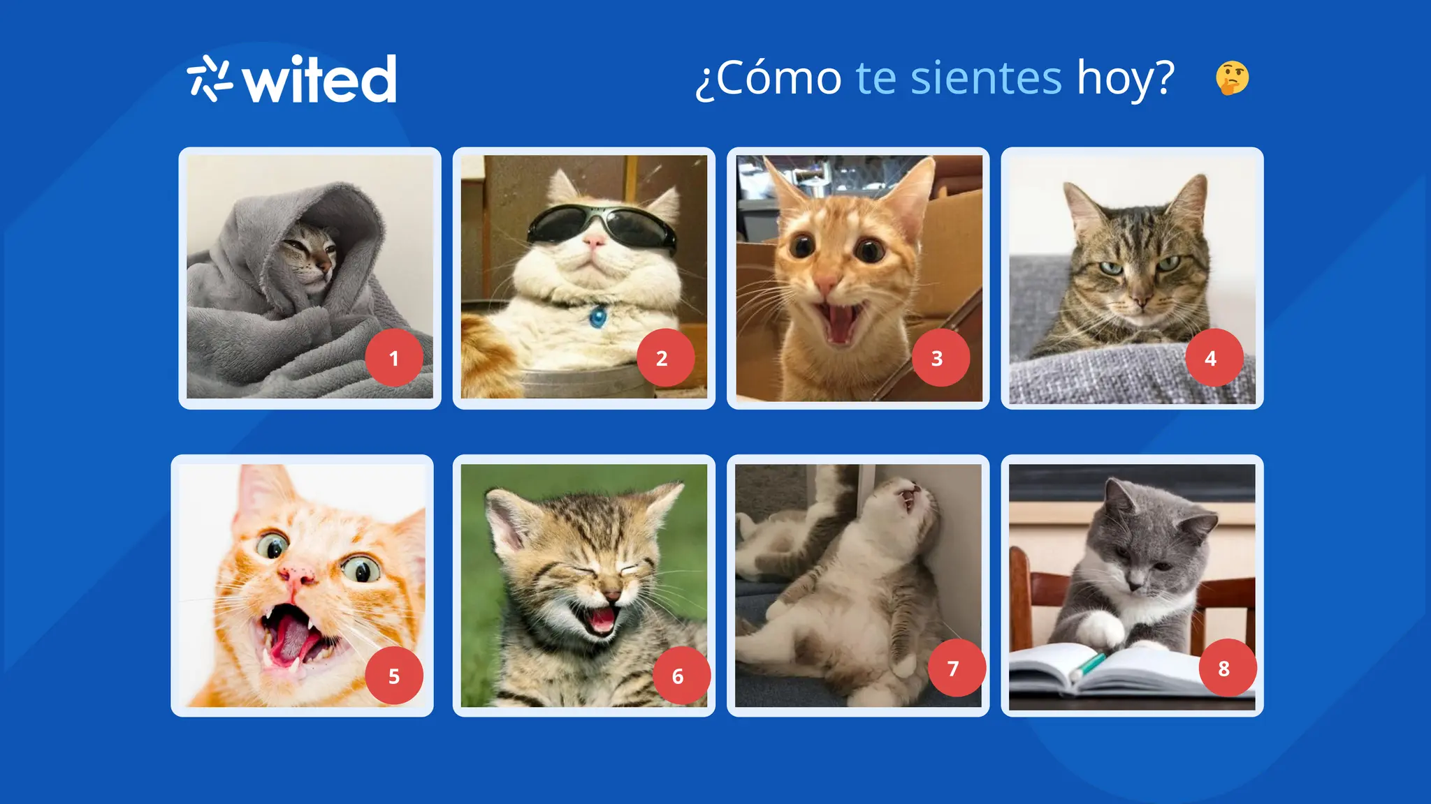 5B Palabras agudas, graves, esdrújulas y sobresdrújulas.pptx