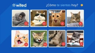 5B Palabras agudas, graves, esdrújulas y sobresdrújulas.pptx