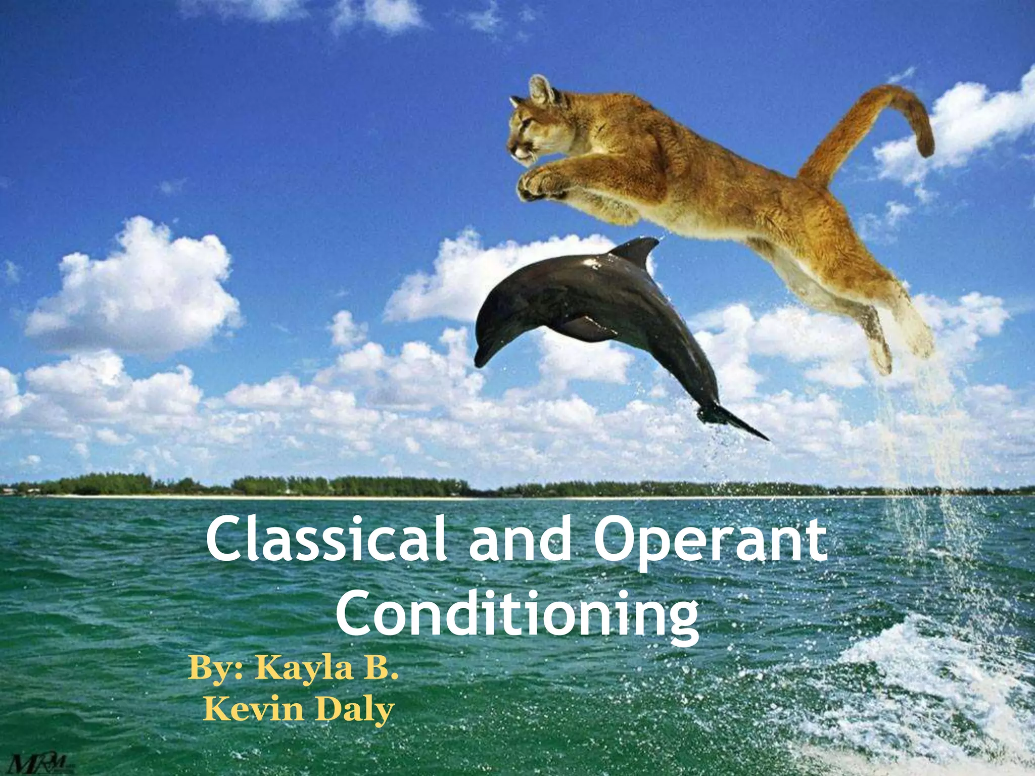 Practical Demos of Conditioning | PPTX