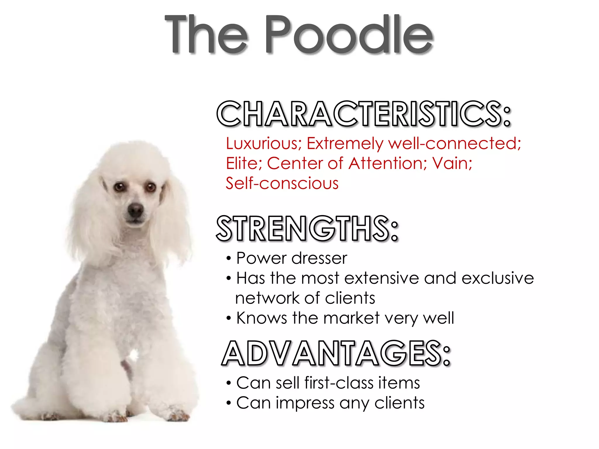 5 breeds of sales dogs | PPTX