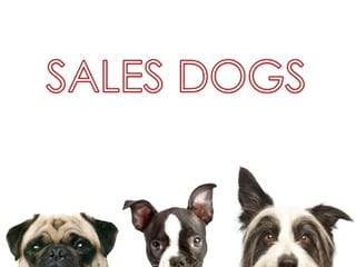 5 breeds of sales dogs | PPTX