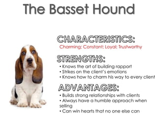 5 breeds of sales dogs | PPTX