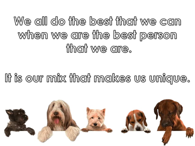 5 breeds of sales dogs | PPTX