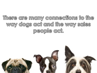 5 breeds of sales dogs | PPTX