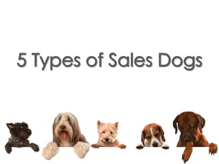 5 breeds of sales dogs | PPTX