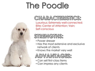 5 breeds of sales dogs | PPTX