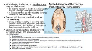 respiraaaaatory5b_Trachea and Bronchi.pdf