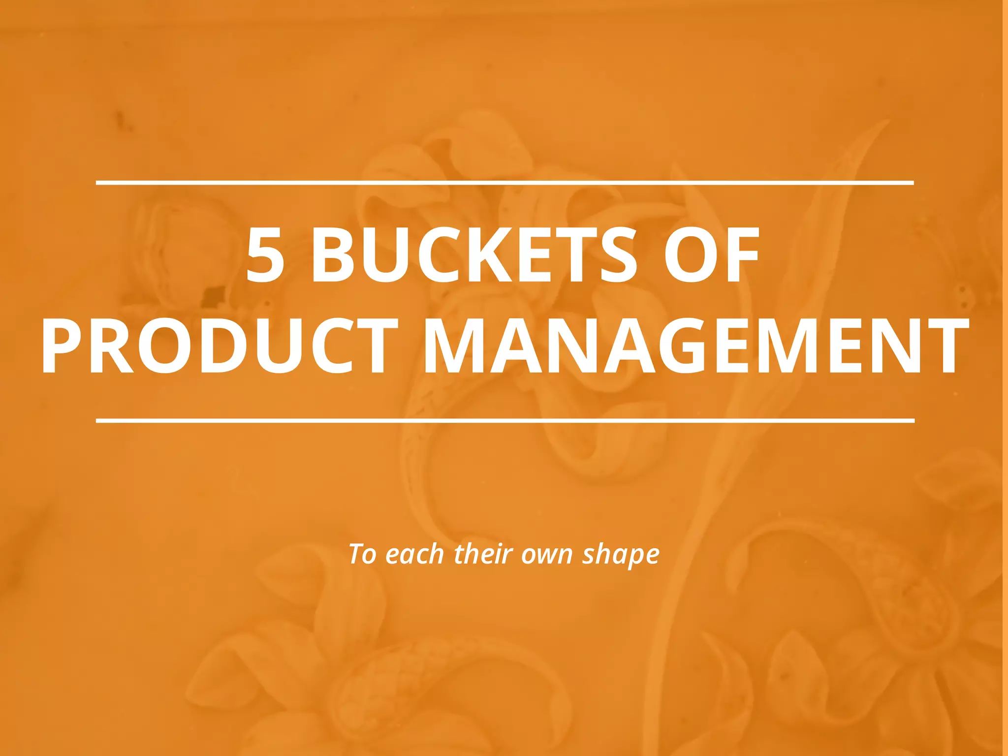 Five Buckets Model for Product Management | PDF