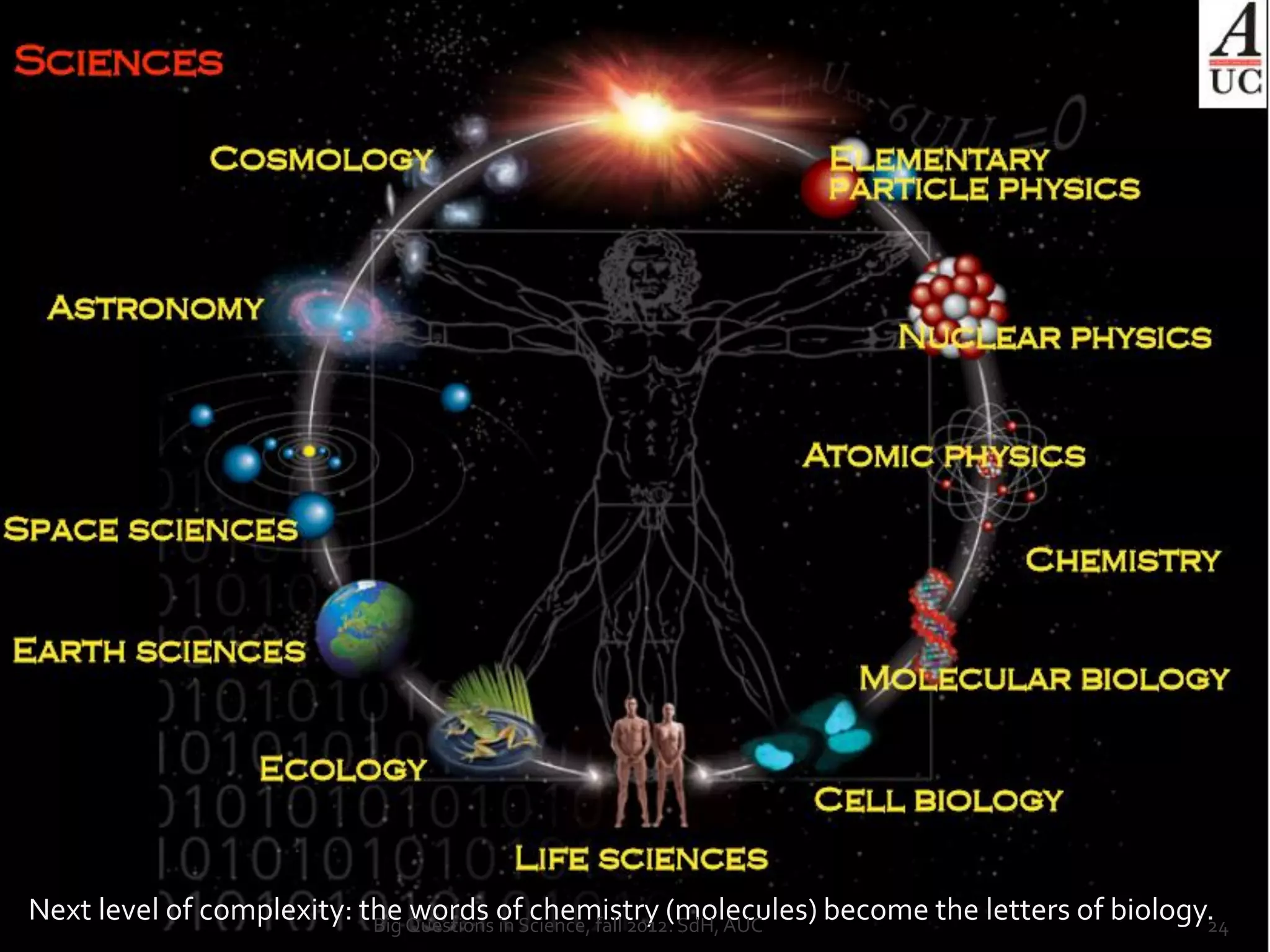 8 What Is the Human Body Made Of? | PDF | Chemistry | Science