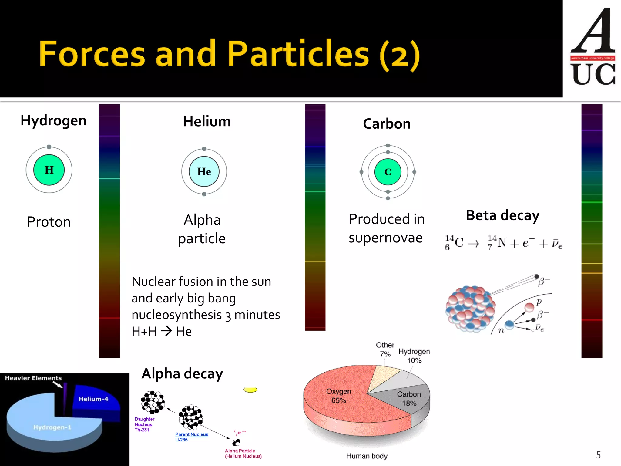 8 What Is the Human Body Made Of? | PDF | Chemistry | Science