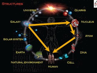 8 What Is the Human Body Made Of? | PDF