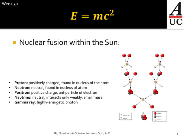 8 What Is the Human Body Made Of? | PDF | Chemistry | Science