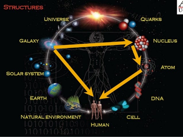 8 What Is the Human Body Made Of?