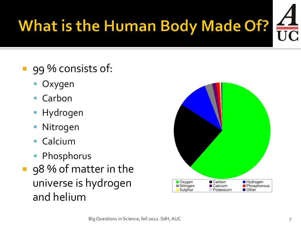 8 What Is the Human Body Made Of?