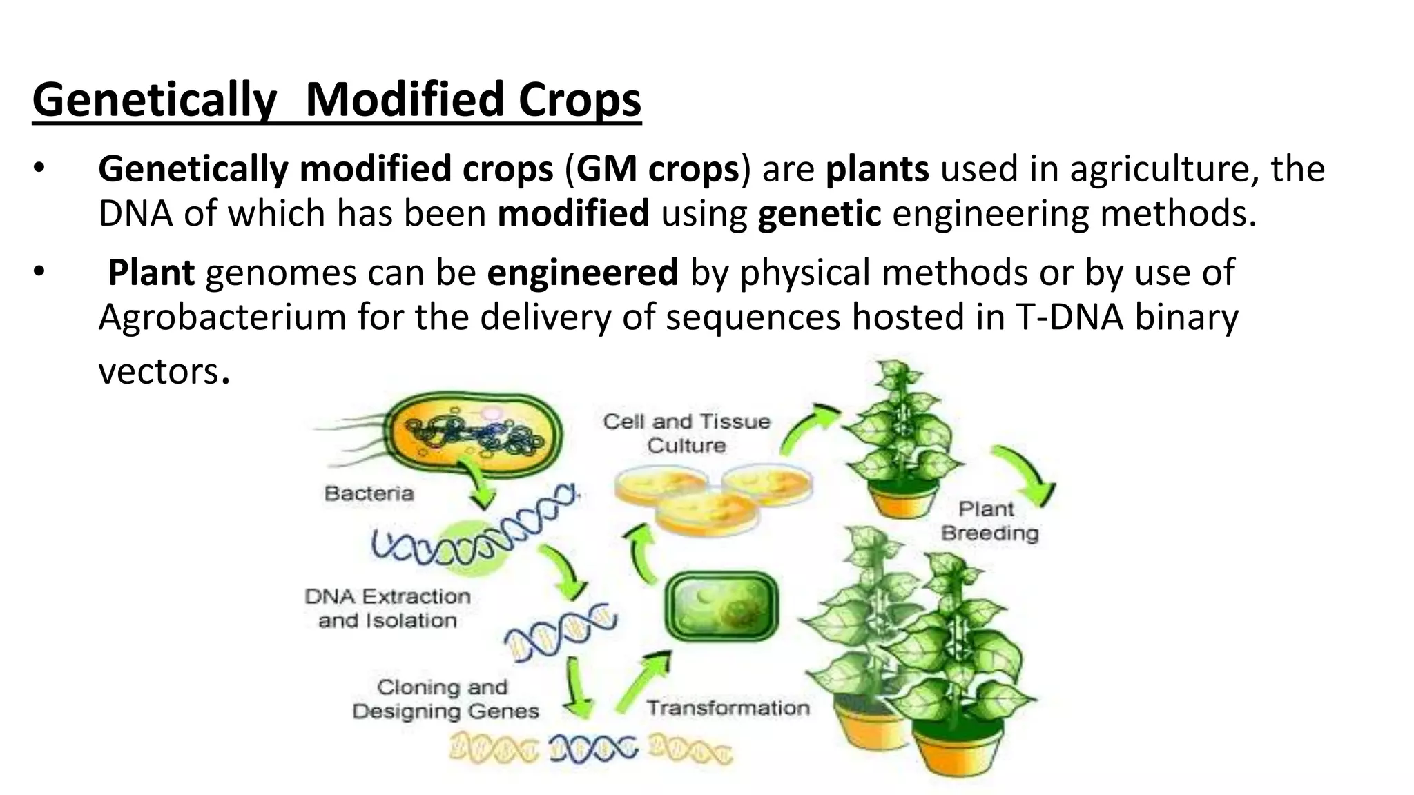 Detection of Genetically modified plants and Organic Seed production. | PPTX