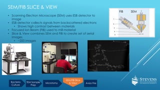 3D Imaging of Bacteria | PDF