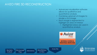 3D Imaging of Bacteria | PDF