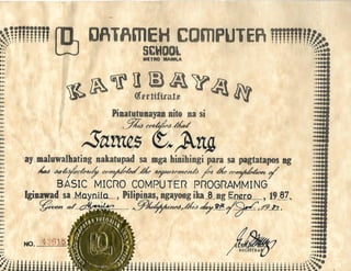 Datamex Programer Diploma 1987 | PDF